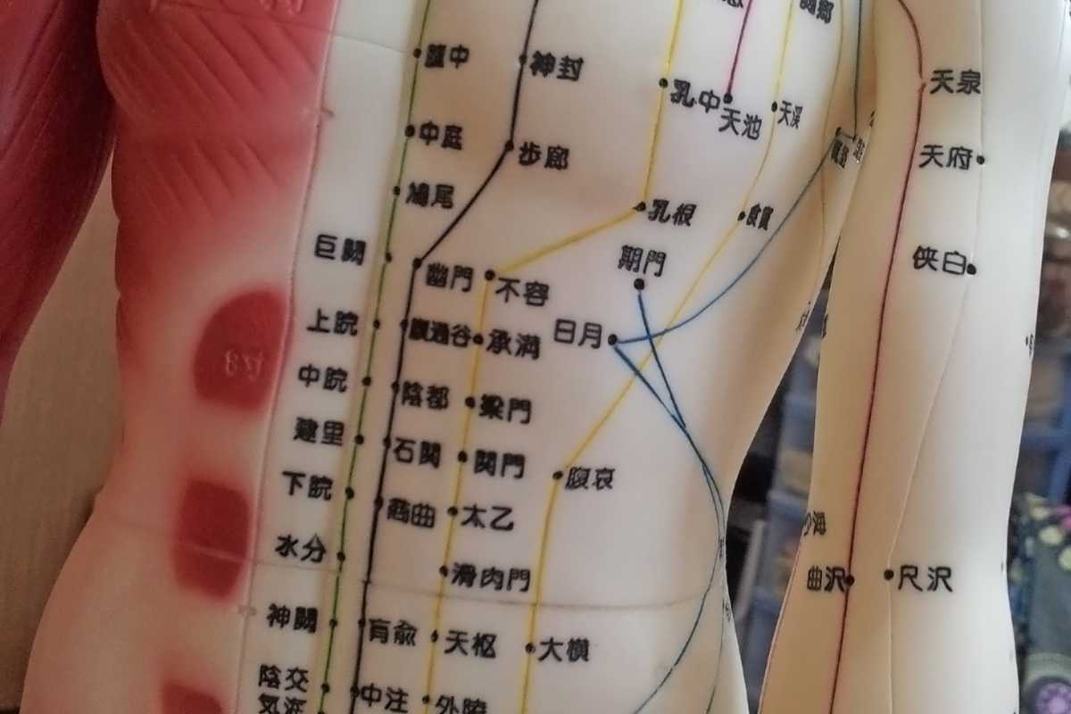 Top 10 Stomach Acupuncture Points